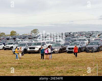 Rows of cars parked in field at country show Stock Photo - Alamy