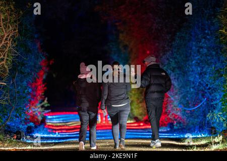 Visitors explore Luminate Sandringham, the Sandringham Estate winter ...