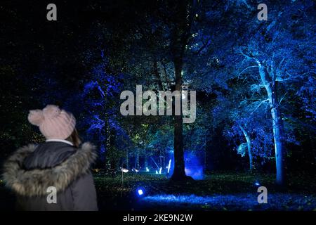 A preview of Luminate Sandringham, the Sandringham Estate winter light ...