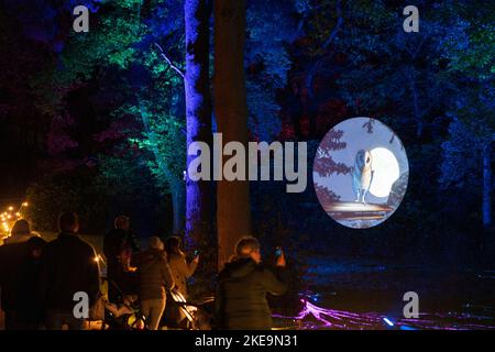 Visitors explore Luminate Sandringham, the Sandringham Estate winter ...