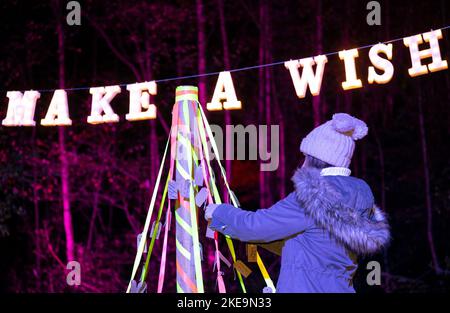 Visitors explore Luminate Sandringham, the Sandringham Estate winter ...