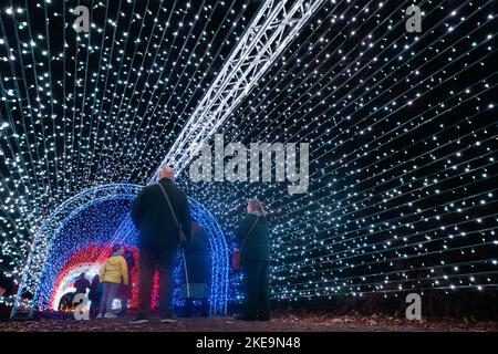 Visitors explore Luminate Sandringham, the Sandringham Estate winter ...