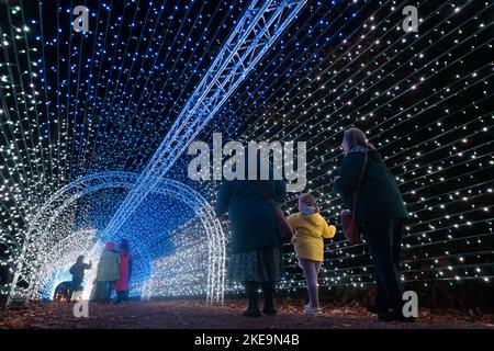 Visitors explore Luminate Sandringham, the Sandringham Estate winter ...
