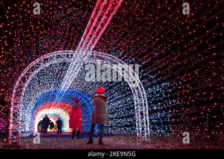 Visitors explore Luminate Sandringham, the Sandringham Estate winter ...