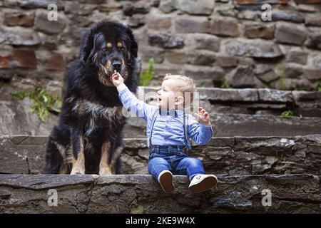 Do Khyi with boy Stock Photo - Alamy