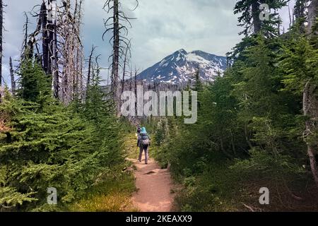 Trekking towards Mt. Adams, Pacific Crest Trail, Washington, USA Stock ...