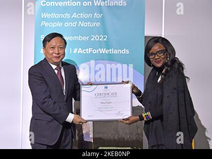 Geneva, Switzerland. 10th Nov, 2022. Musonda Mumba, secretary-general of the Ramsar Convention ...