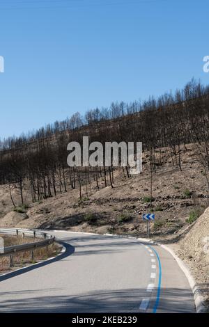 Road route that crosses area burned by recent fire, traffic signs warn ...