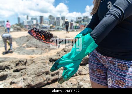 Volunteers clean up oil at Rio Vermelho beach in the city of Salvador ...