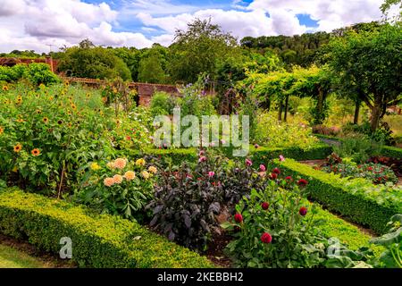 Colourful planting and crops in the walled garden at Heale House - a ...