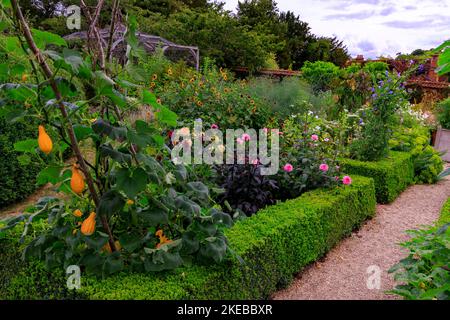 Colourful planting and crops in the walled garden at Heale House - a ...