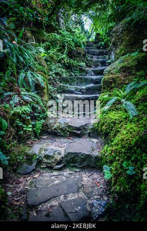 an old staircase in the countryside, steps of a street staircase in ...