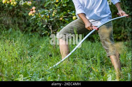 Woman cutting grass with scythe by hand, in garden Stock Photo - Alamy