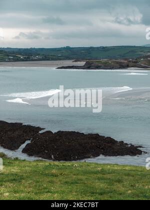 View of Clonakilty Bay. Thick grass, coastline of the Ireland. Seaside ...