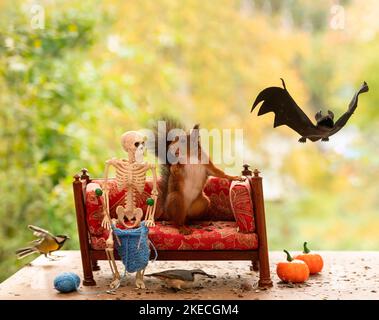 red squirrel on an bench with a skeleton Stock Photo - Alamy