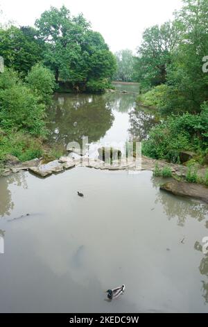 A lake and sections of the river Effra at Crystal Palace Pk in london ...