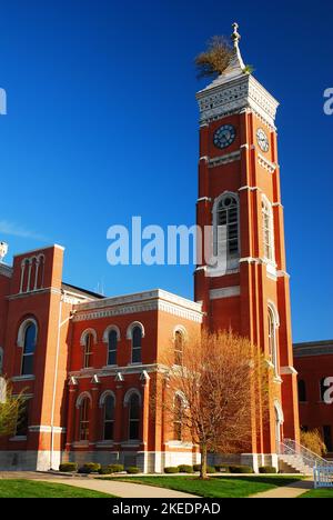 Tall tree grown inside old abandoned building Stock Photo - Alamy