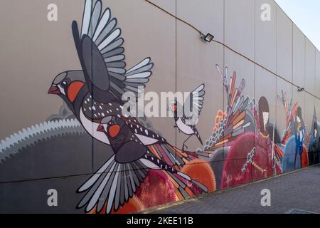Birds Street Art, Brunswick, Melbourne, Victoria, Australia Stock Photo ...
