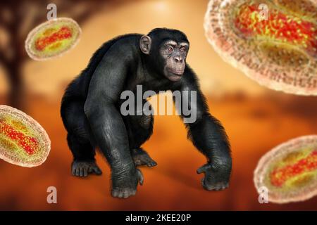 Virus particles around chimpanzee, illustration Stock Photo - Alamy