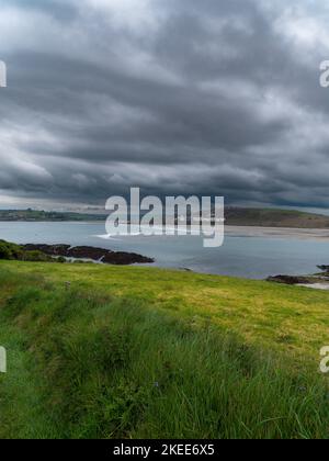 View of Clonakilty Bay on a cloudy day. Thick grass near the sea. The ...