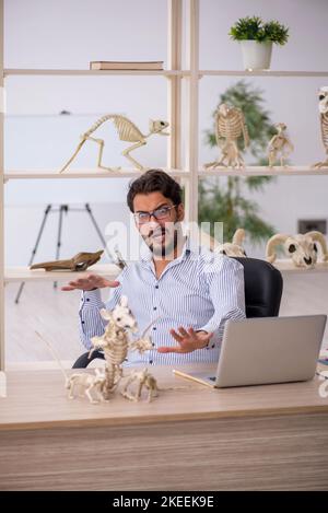 Young paleontologist examining ancient animals at lab Stock Photo - Alamy