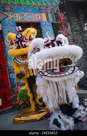 Elaborate lion dance puppets on display at the entrance to Kat Hing Wai ...