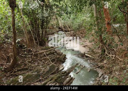 polluted stream in rainforest Cuiaba, brazil. July Stock Photo - Alamy