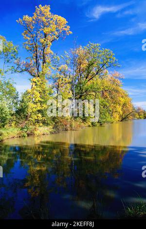 Autumn in the Odra river basin in Moravia in the Czech Republic Stock ...