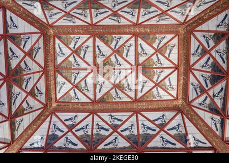 The Magpie ceiling at the National Palace in Sintra, Portugal Stock ...