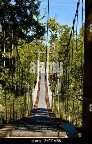 Suspension bridge over pond with Lakeshore Adventures Zip Line Tours ...