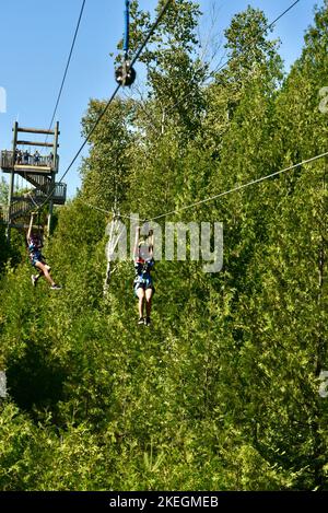 Children high adventure on zipline course through forest canopy with ...
