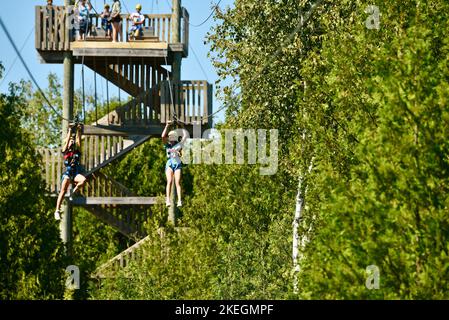 Children high adventure on zipline course through forest canopy with ...