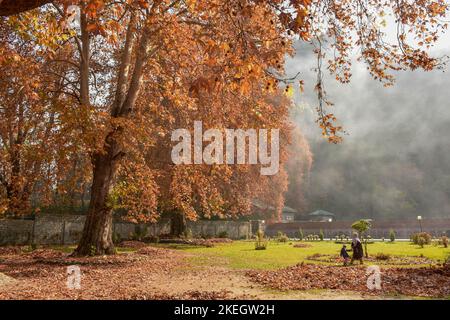 Verinag at Kashmir in Jammu Kashmir Stock Photo - Alamy