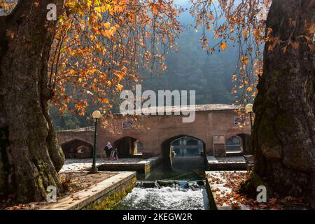 Verinag at Kashmir in Jammu Kashmir Stock Photo - Alamy