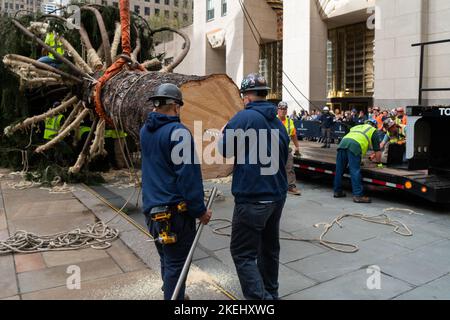 The 82-foot-tall spruce tree is lit up at the Rockefeller Center during ...
