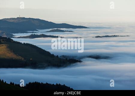13 November 2022, Baden-Wuerttemberg, Münstertal: The rising sun shines ...
