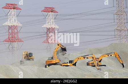 Al-Gannas Society will organize the Sixth Qatar International Falcons ...