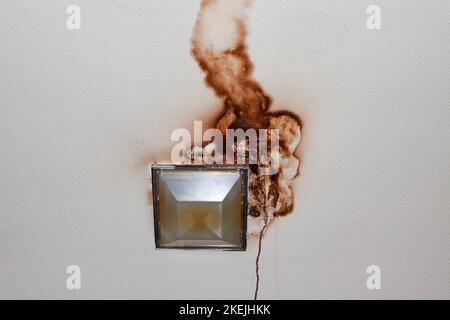 Brown mold on the ceiling Stock Photo - Alamy