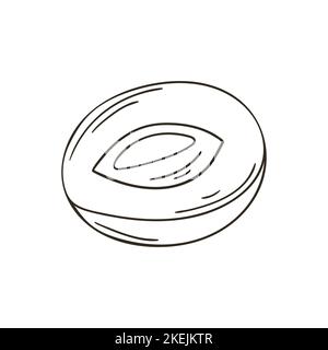 Longan. Coloring in hand drawn style. Children's drawings, exotic fruit ...