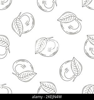 Longan. Monochrome pattern with tropical fruits. Illustration in hand ...