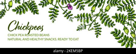 Colorful horizontal chickpeas design. Hand drawn illustration in ...