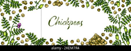 Colorful horizontal chickpeas design. Hand drawn illustration in ...