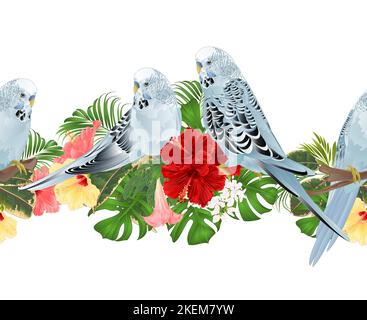 Tropical border seamless background Budgerigars, blue pet parakeets and ...