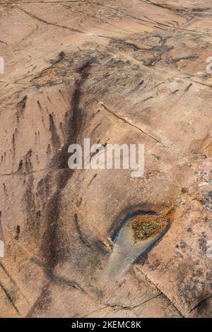 Stained granite outcrops with lichens, collected pine straw and plants ...