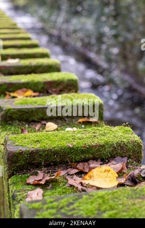 Moss covered bricks run alongside the water at Mill Walk, Mill Quay ...