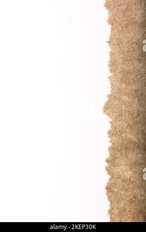 Piece of turn paper placed on a white background Stock Photo - Alamy