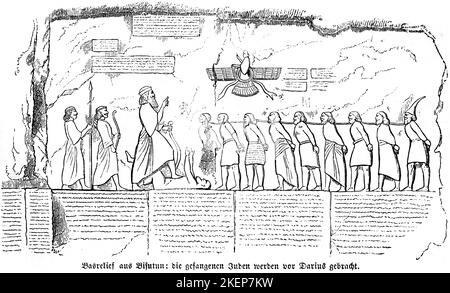 Darius King of Persia, illustration Stock Photo - Alamy