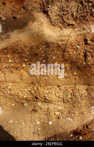 Morainic deposits of stones and pebbles in Quaternary sand background ...