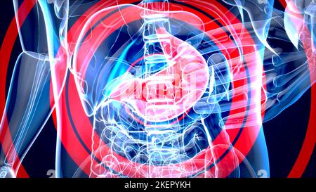 Abstract motion design of the stomach Stock Photo - Alamy