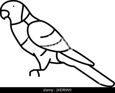 rainbow lorikeet bird exotic line icon vector illustration Stock Vector ...